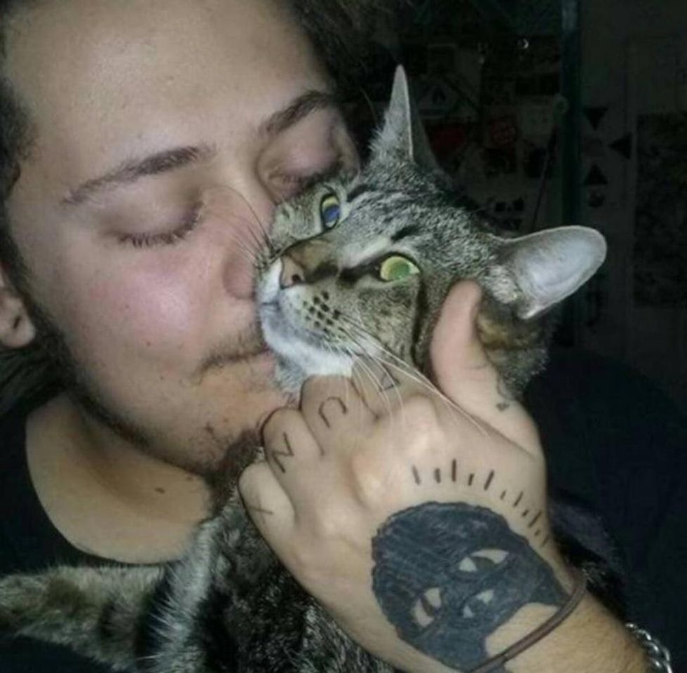 Man Saves Saddest Shelter Cat He's Seen, They Haven't Stopped Cuddling ...