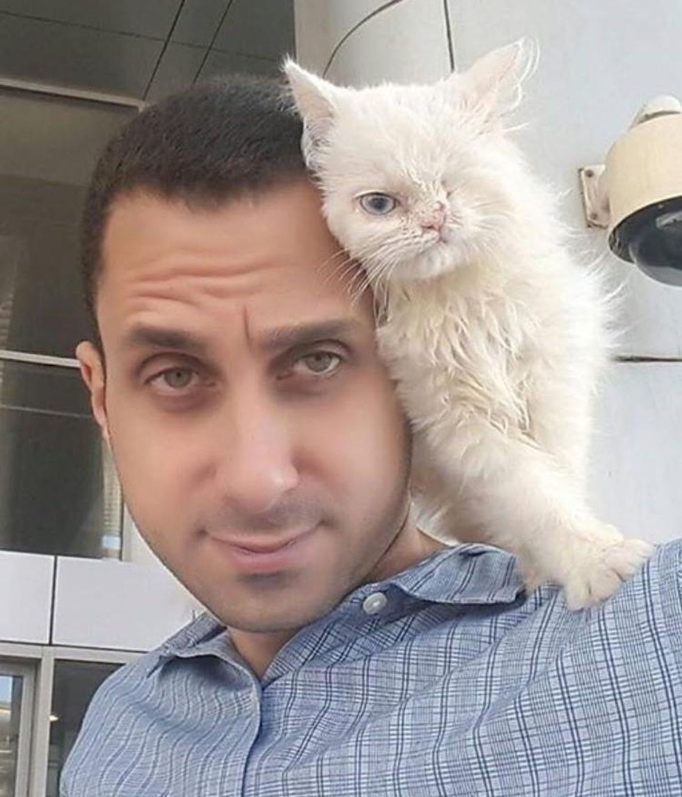 Man Saves One-eyed Kitten from Streets, What a Difference One Week Can ...