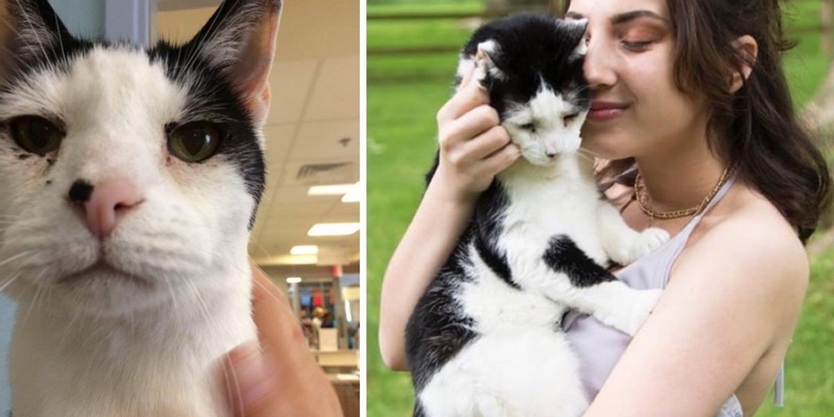 Adopted at 19, Cat Becomes Most Special Prom Date to His Forever Human ...
