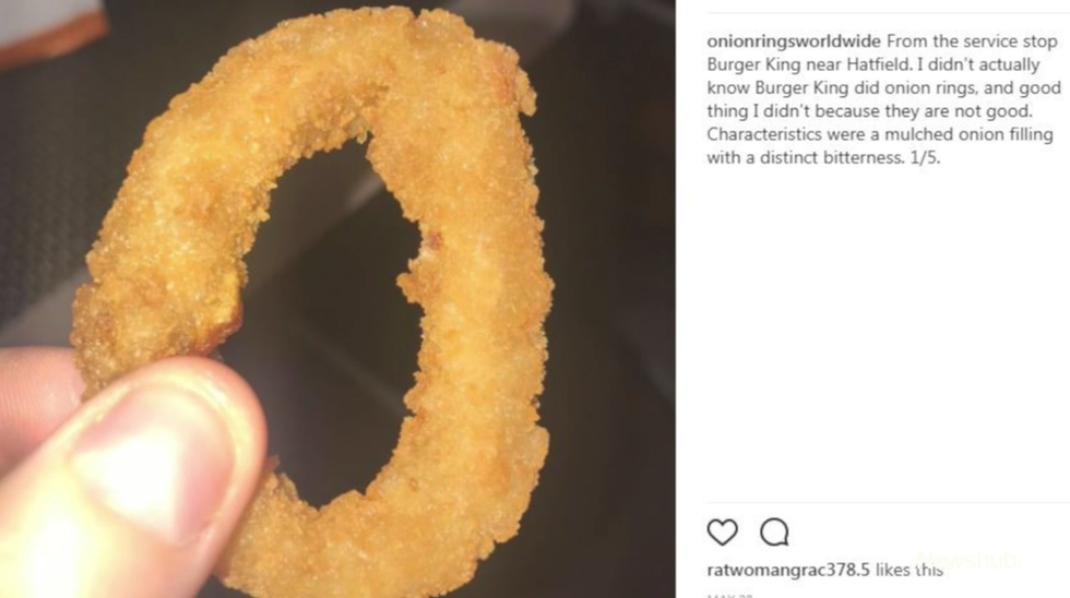 BREAKING: Lorde Had a Secret Instagram Account for Onion Ring Reviews ...