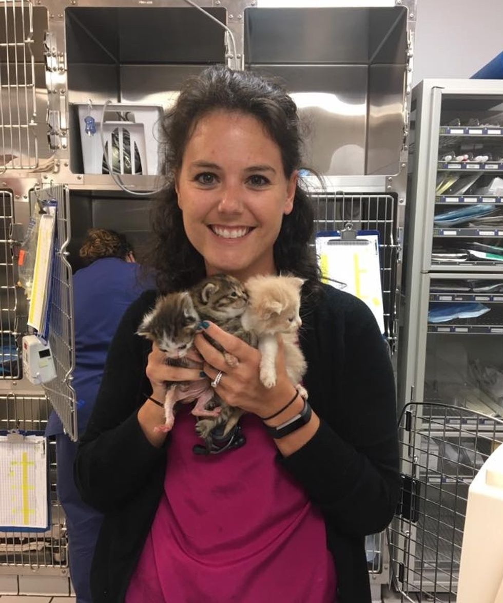 Woman Surprises Rescuers When She Offers to Foster 14 Orphaned Kittens ...