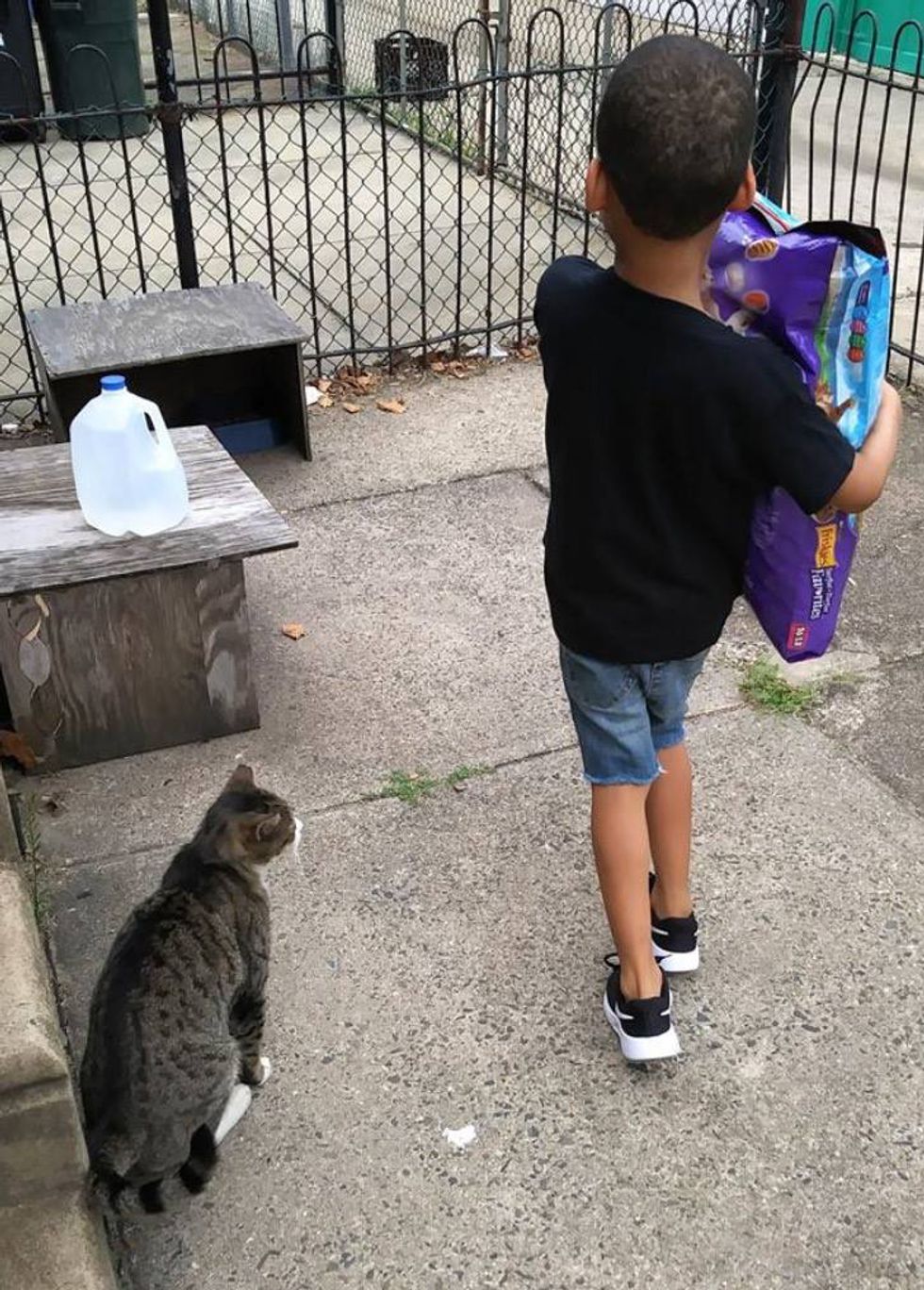 5 Year Old Boy Helps Save Street Cats and Becomes Their Superhero ...