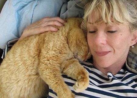 From Fear to Trust – Story of Meatie, the Feral Cat - Love Meow