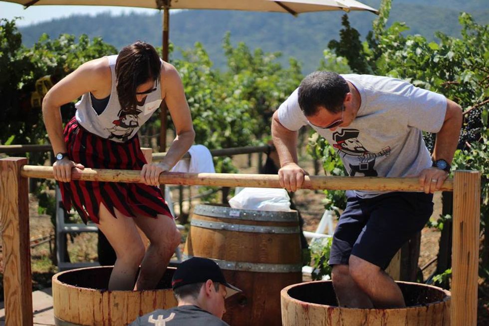 Where to Drink, Stomp Grapes & Work the Vineyards During Harvest Season ...