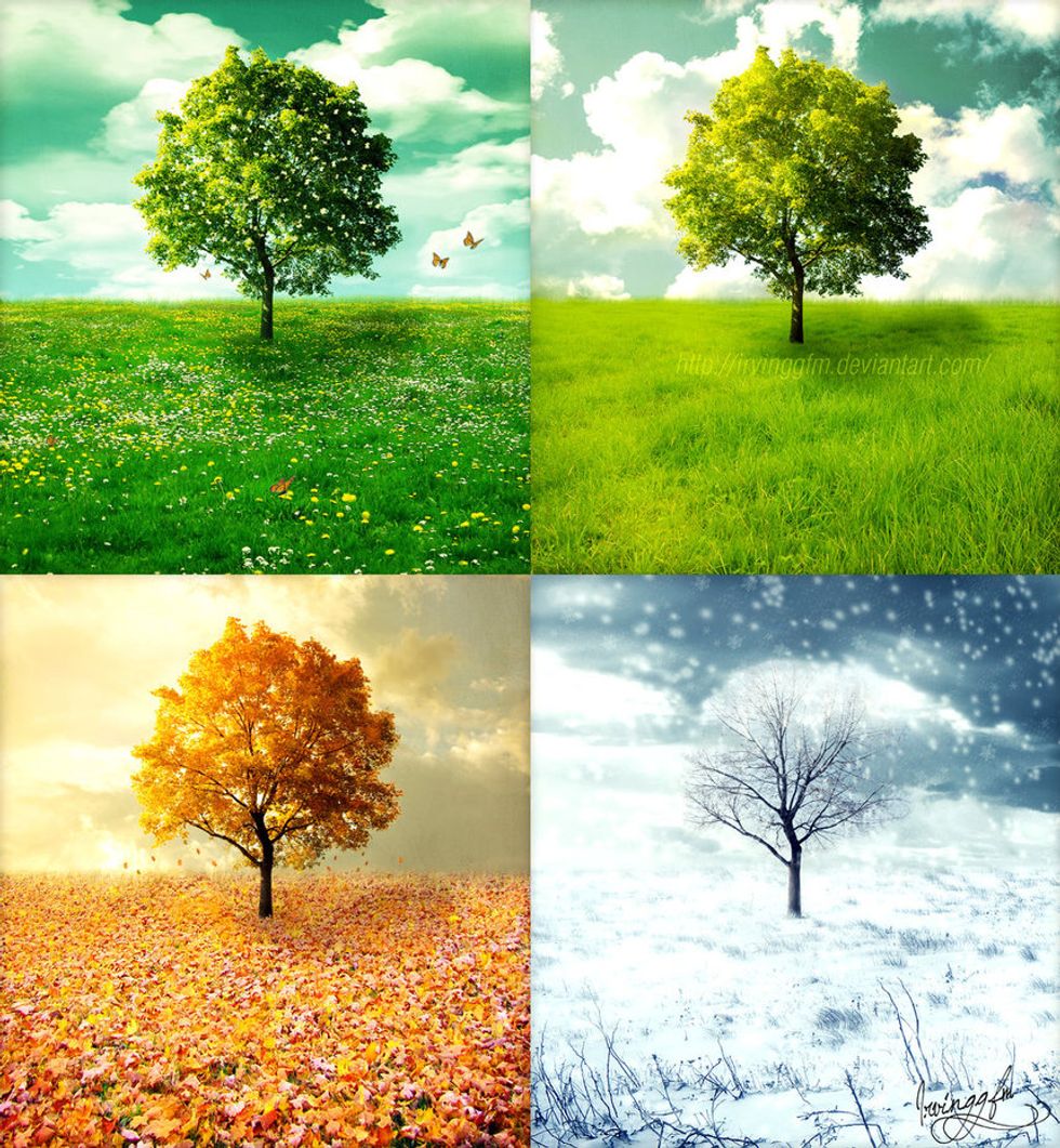 What Your Favorite Season Says About You What Your Favorite Season Says About You