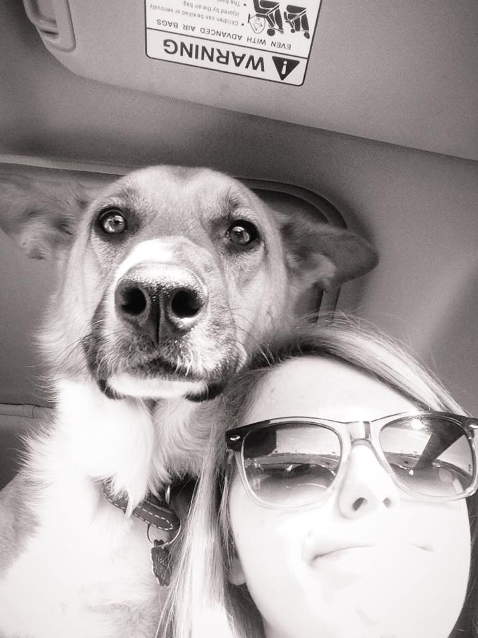 10 Reasons Why You Should Have a Dog in College