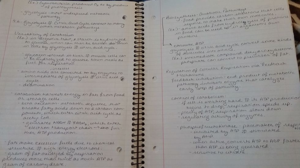 The Loss Of Penmanship: The Death Of Cursive