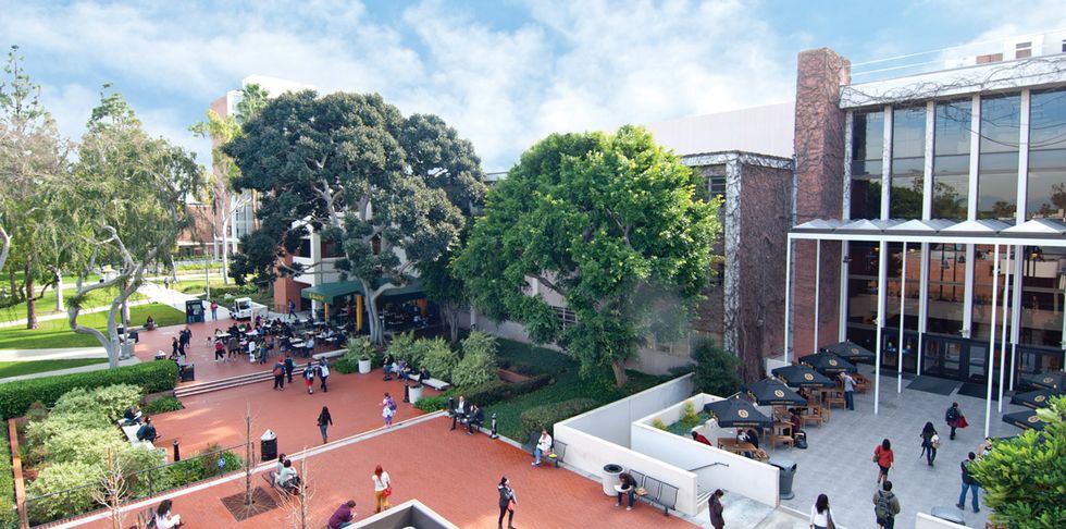 12 Things That Will Make You Proud to Be a CSULB 49er