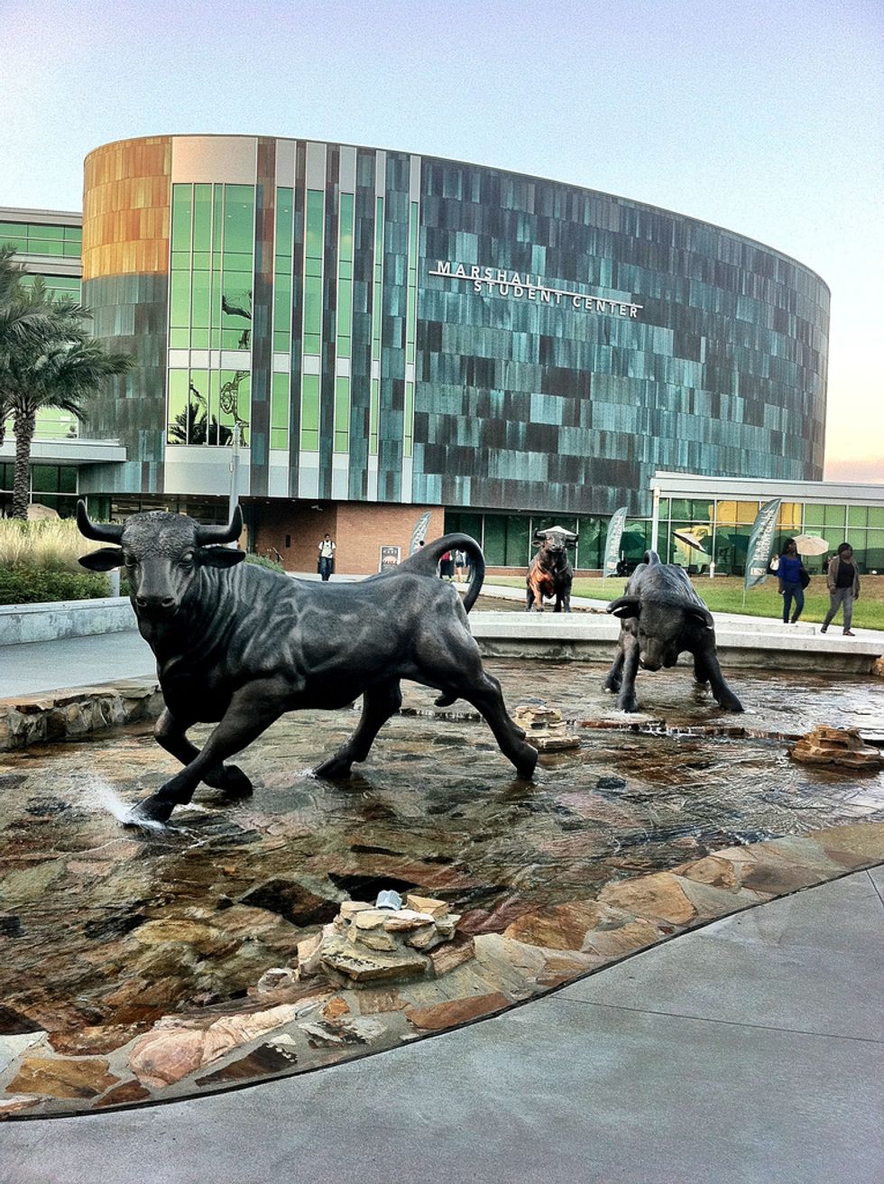 You Know You Go to USF When...