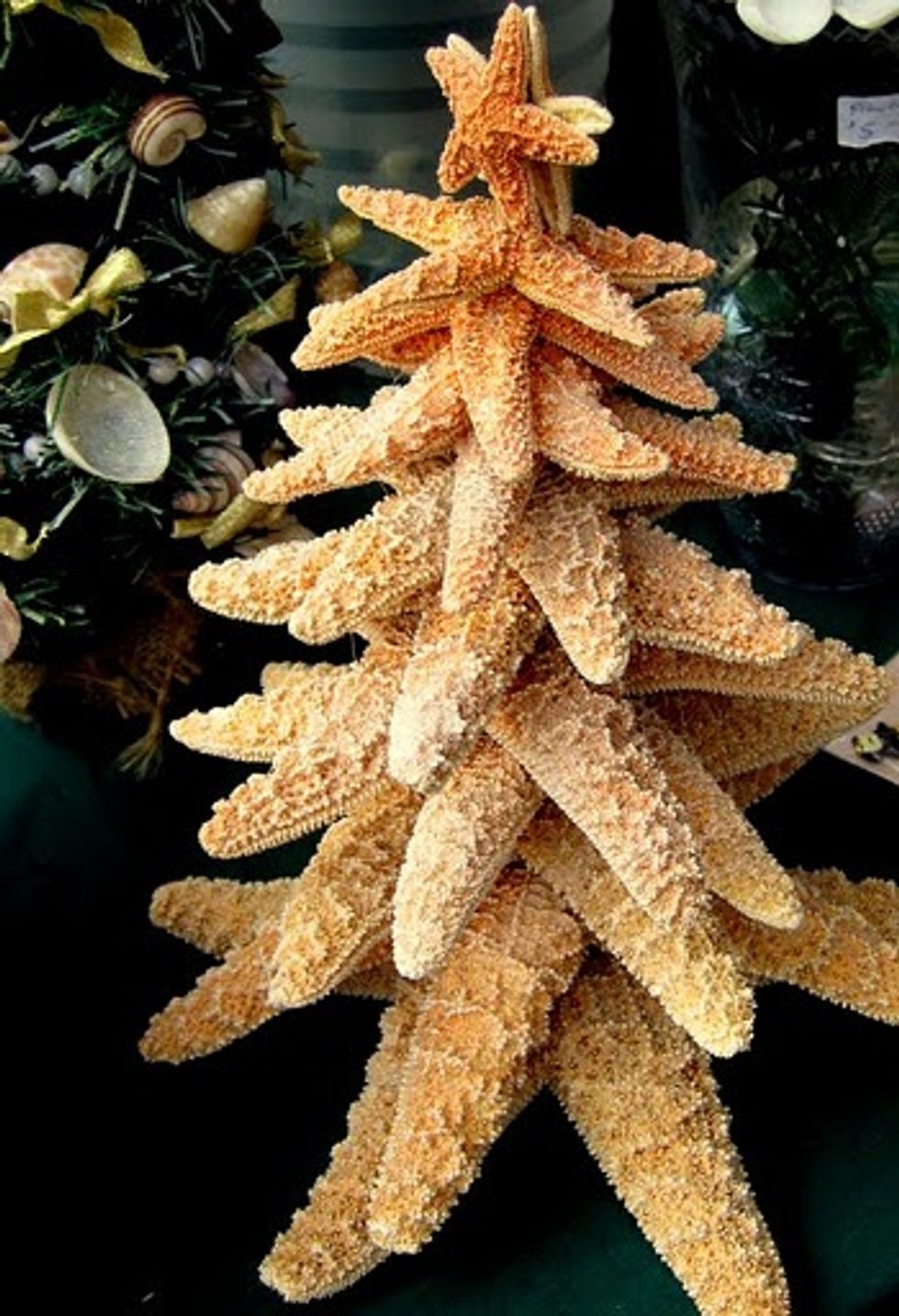 21 Unconventional Christmas Trees
