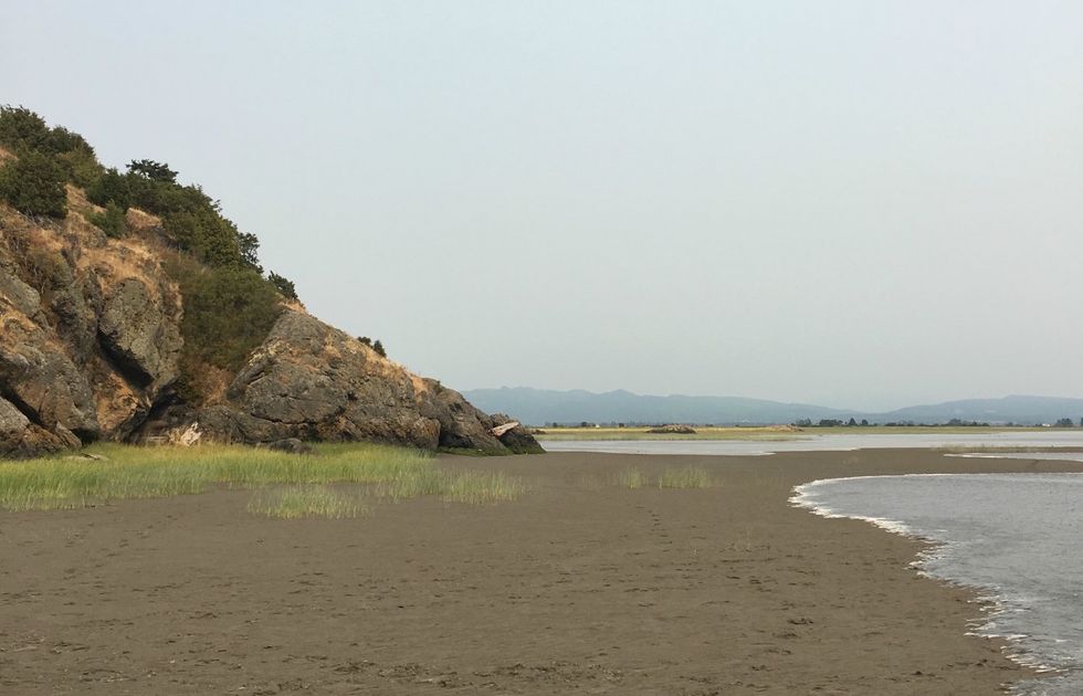 Craft Island: A Sandy Gem In Skagit Valley