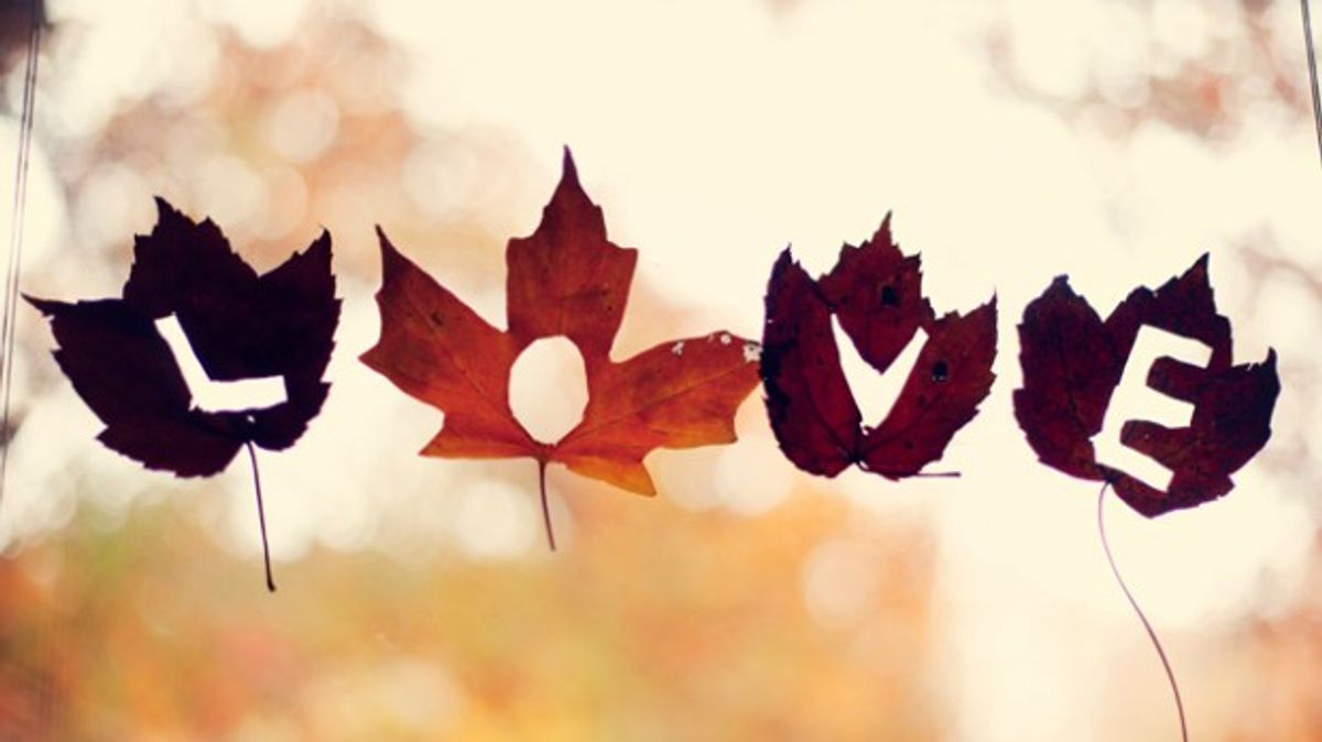 5 Reasons To Love The Fall Season