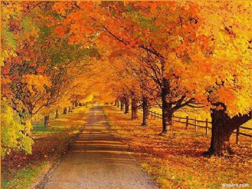 5 Reasons To Love The Fall Season
