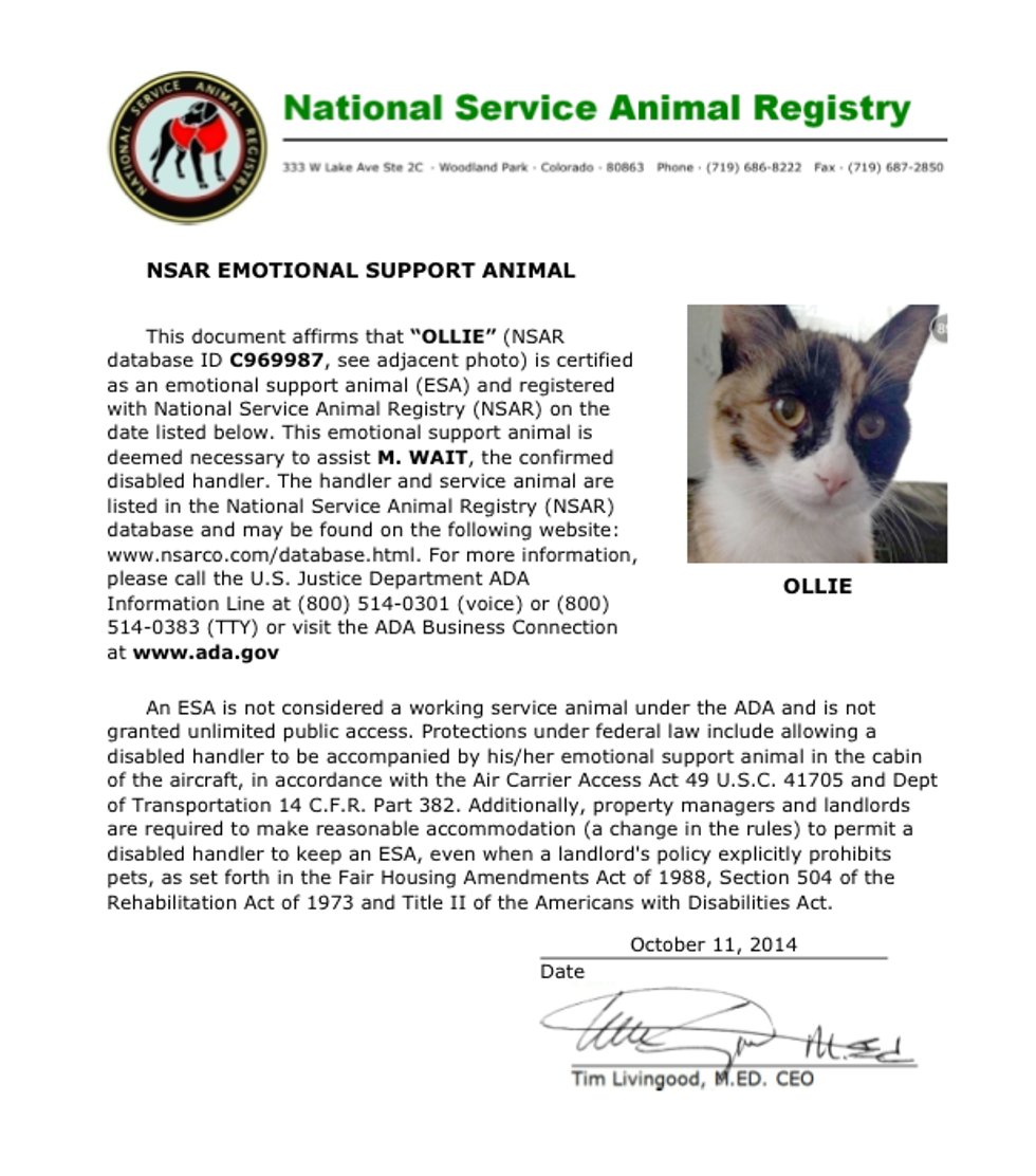Get An Emotional Support Animal To Help With Anxiety And Depression in ...