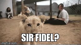 20 Signs You're A Phi Mu