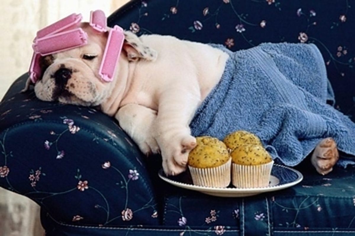 9 Things Only Lazy People Will Understand 9-things-only-lazy-people-will-understand