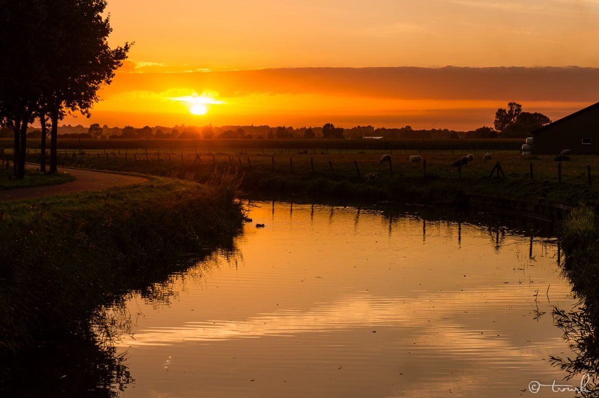 5 Great Things About Living In The Country