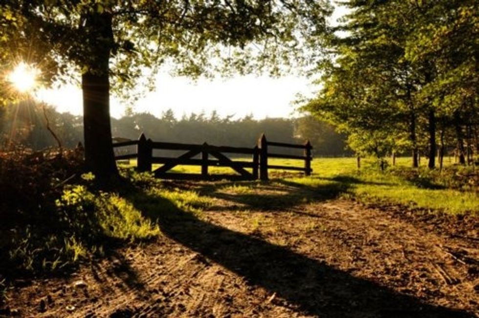 5 Great Things About Living In The Country