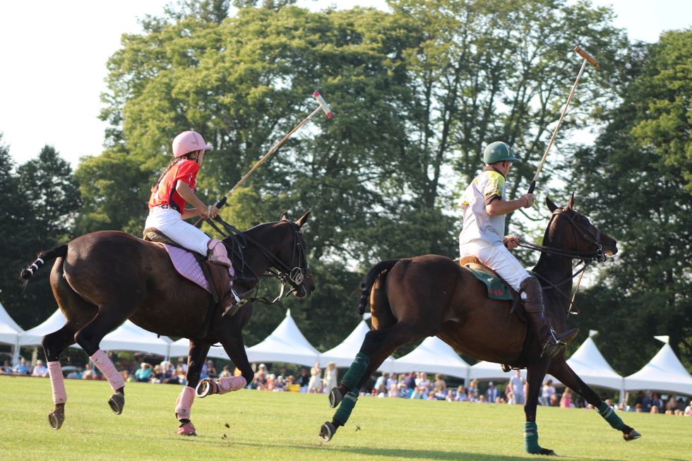 A Day At The Newport Polo Match