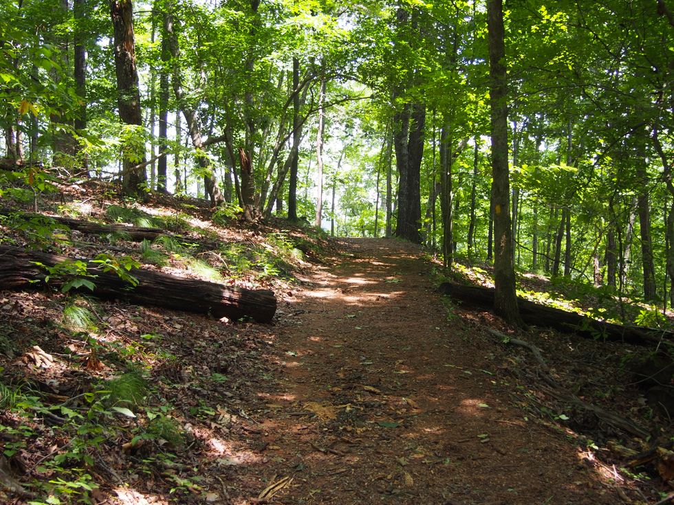 Hike Of The Month: Red Top Mountain State Park