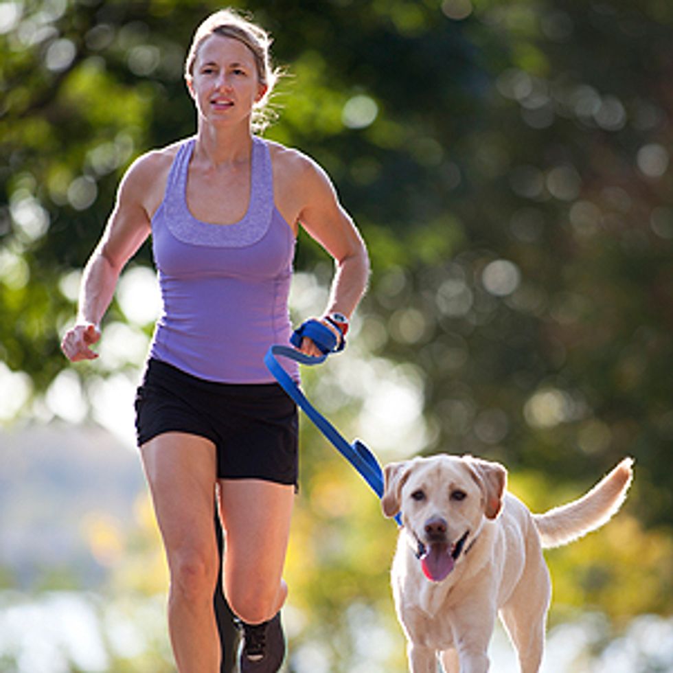11 Reasons You Need A Dog Right Now
