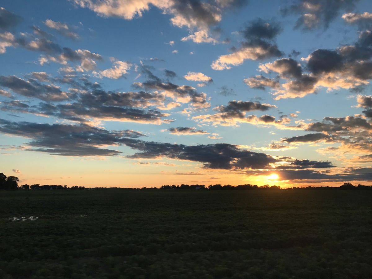 10 Ways To Discover Nature's Neatness This Summer