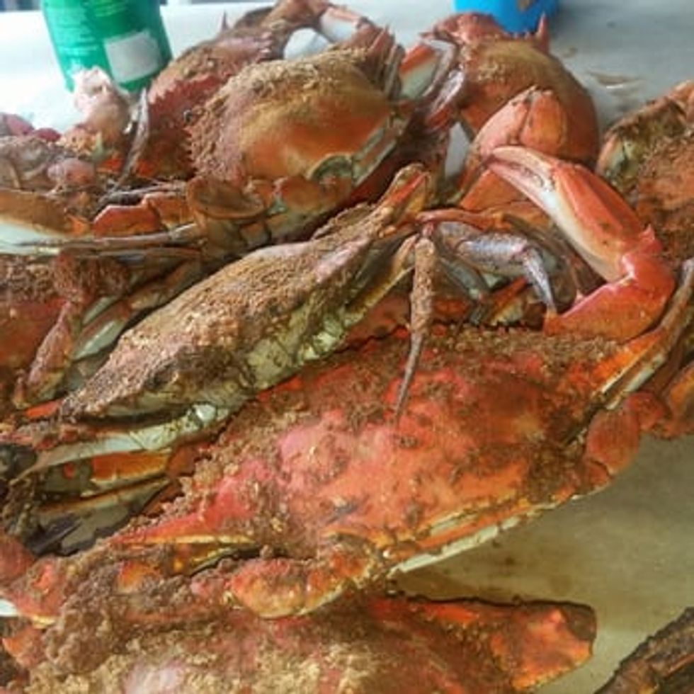 7 Best Places To Get Crabs In Baltimore
