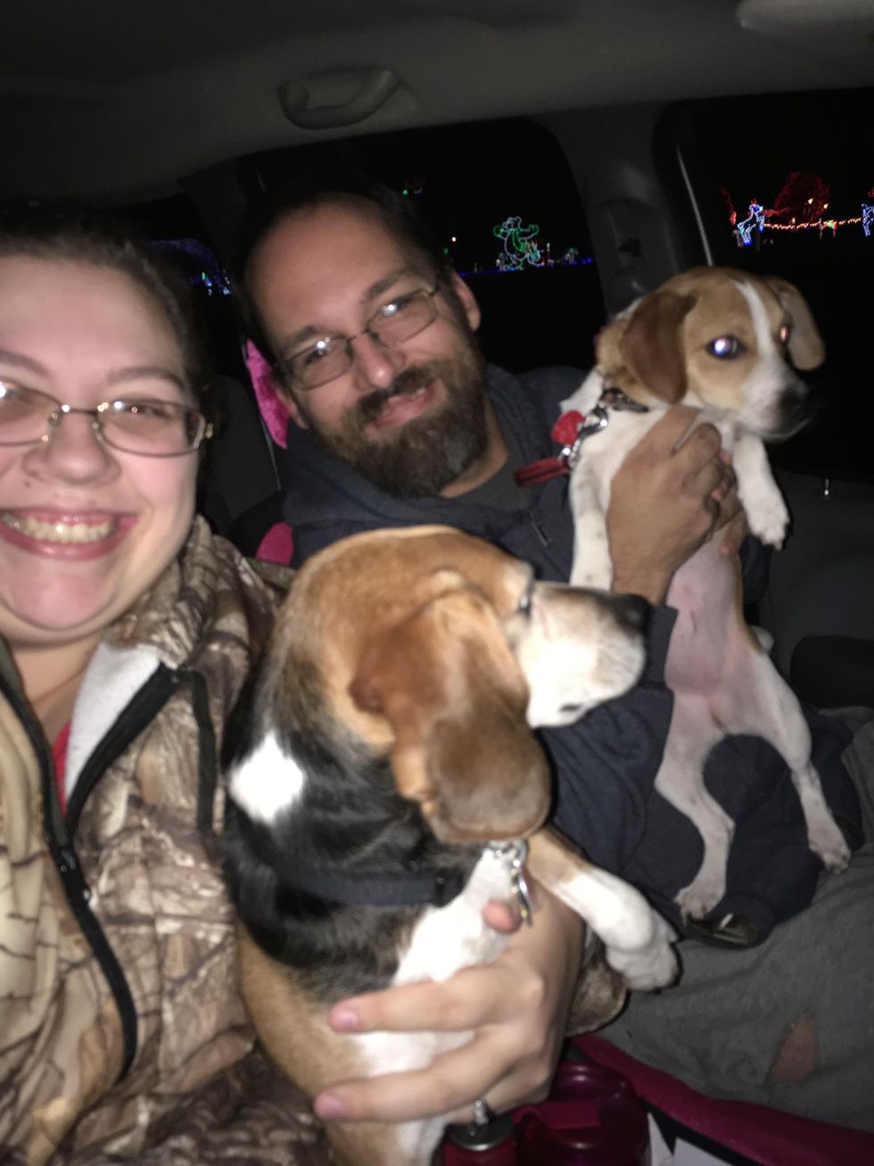 8 Things Only Beagle Owners Know, And Know Well