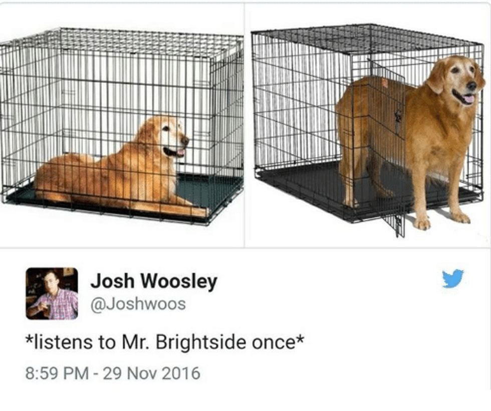 13 Pieces Of Undeniable Proof That "Mr. Brightside" Is The Best Song Ever