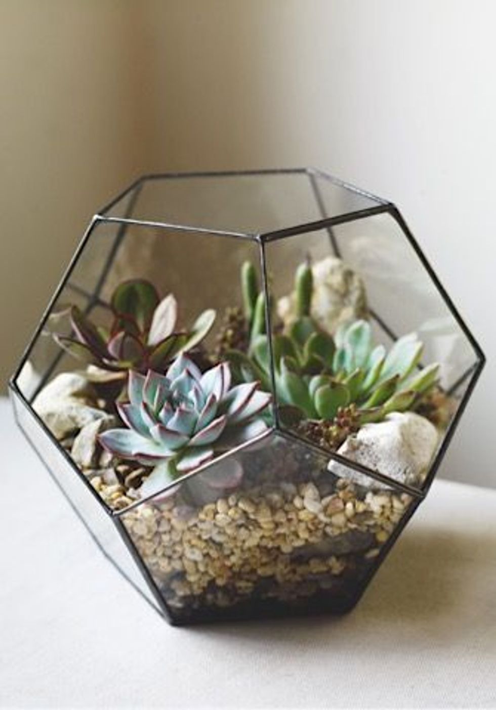 9 Unique Terrariums Even You Can DIY