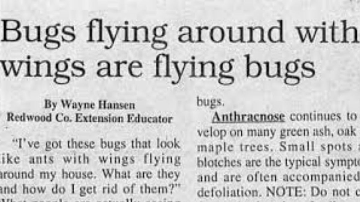 5 Worst Newspaper Headlines