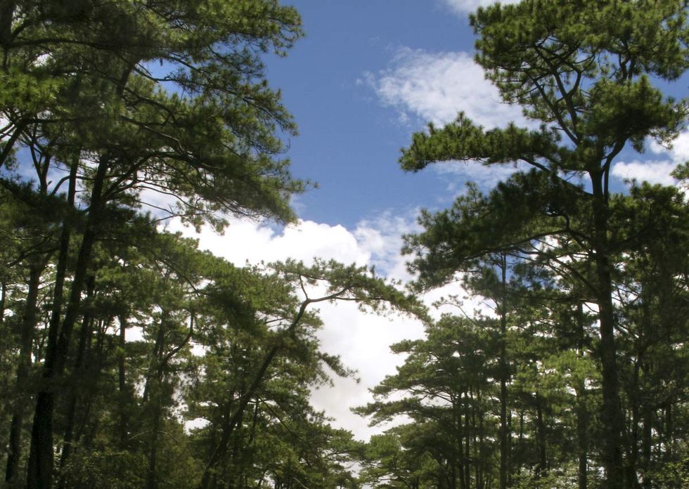 7 Reasons To Visit Julian, California