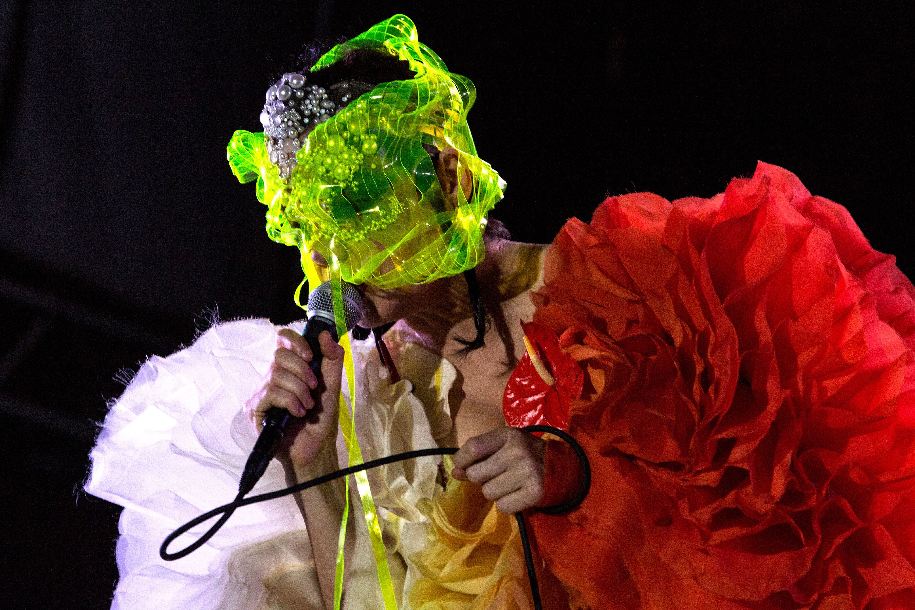 Björk Announces The First Single From Her New Album With Instantly ...