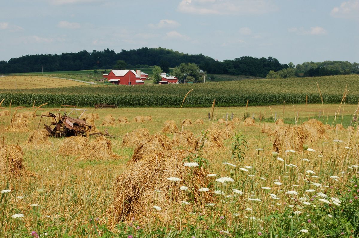 12 Things To Do In Central Ohio This Summer