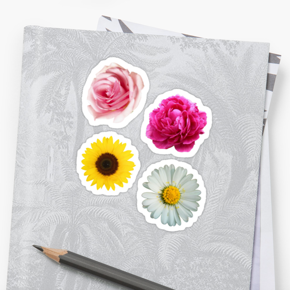 22 Types Of Redbubble Stickers You've Seen On Every College Girl's Laptop