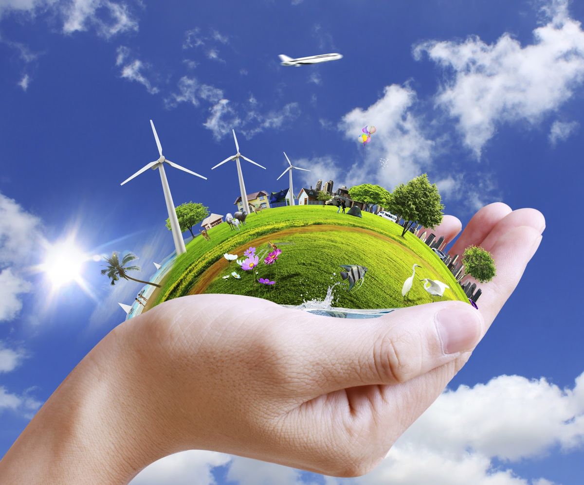 11 Things You Can Do To Help The Environment 11 Things You Can Do To Help The Environment