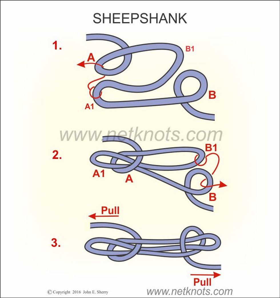 4 Knots Everyone Should Known