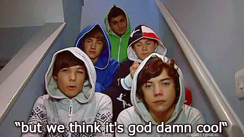 The Life Of A 2012 One Direction Fangirl