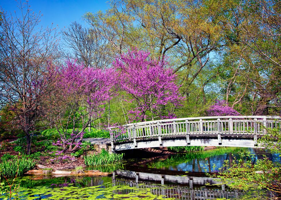 20 Things To Put On Your 'Mad City' Summer Bucket List