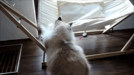 10 Reasons Hammocks Are Literally The Worst