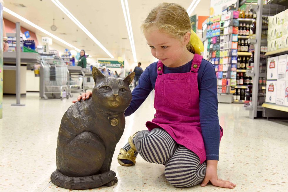 Store Cat Immortalized with His Own Statue at Supermarket That He Made ...
