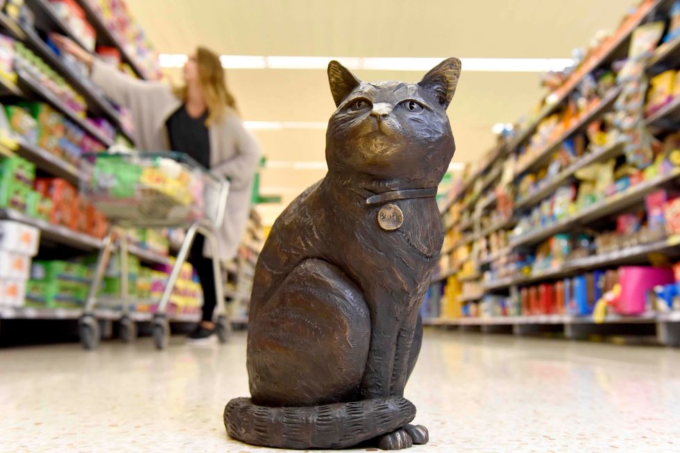Store Cat Immortalized with His Own Statue at Supermarket That He Made ...