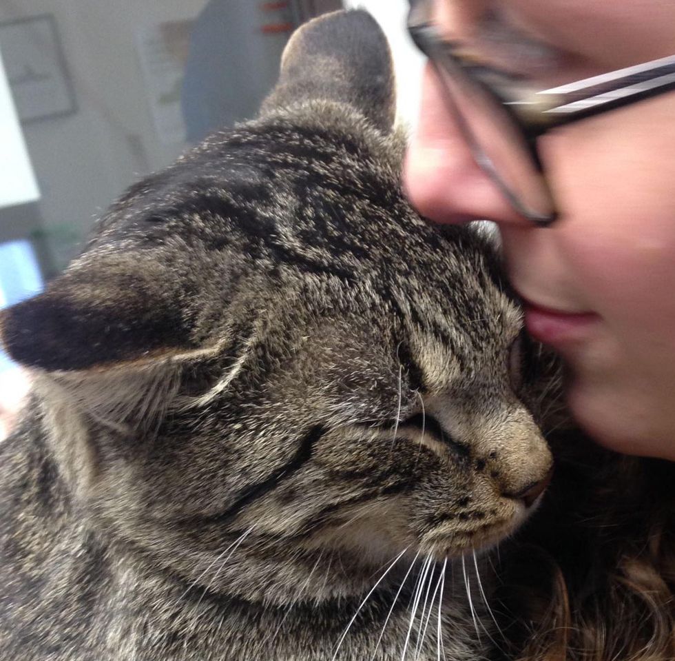 Shelter Cat Gives Volunteer the Biggest Hug and Won't Let Go... - Love Meow