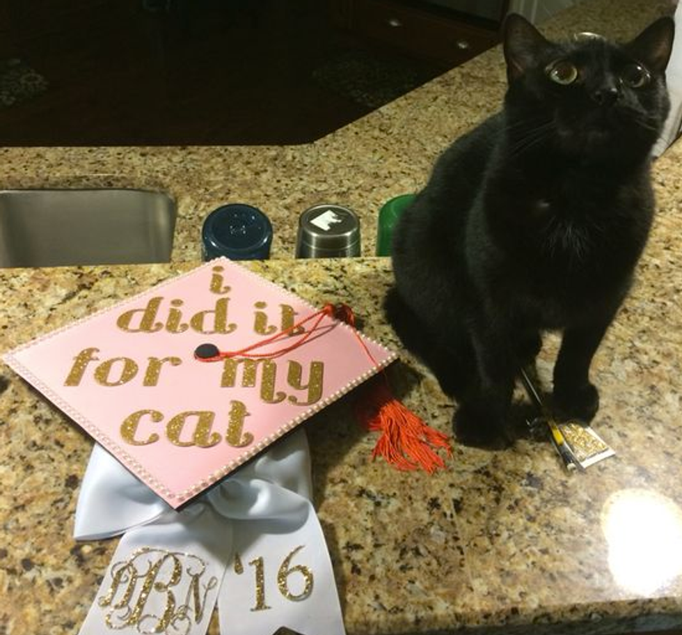 38 Of The Best Decorated Graduation Caps That Are Causing Serious ...
