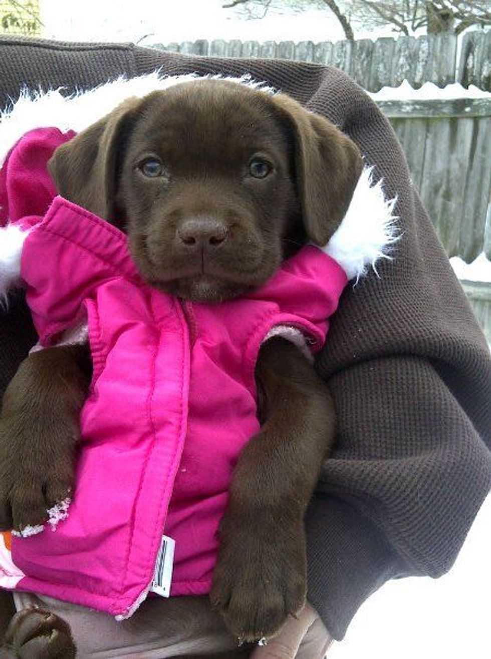 Puppy Pictures That Will Make You Smile During Finals Week
