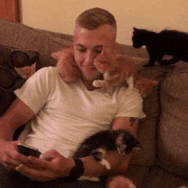 Man Visits 10 Kittens In Need of Love, They Make Him Their Cat Dad On ...