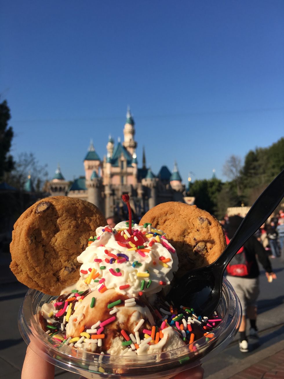 Things To Know Before You Do the Disney College Program