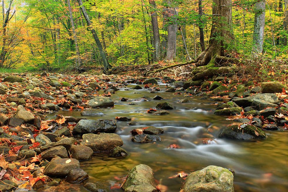 20 Of The Most Beautiful Places In Pennsylvania