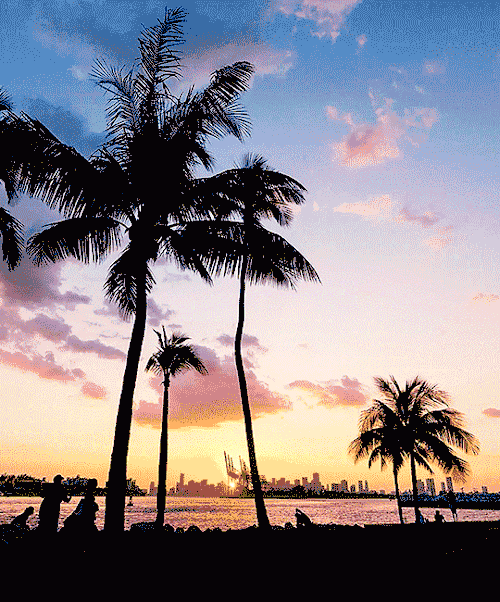 24 Things To Do In Miami Before You Graduate
