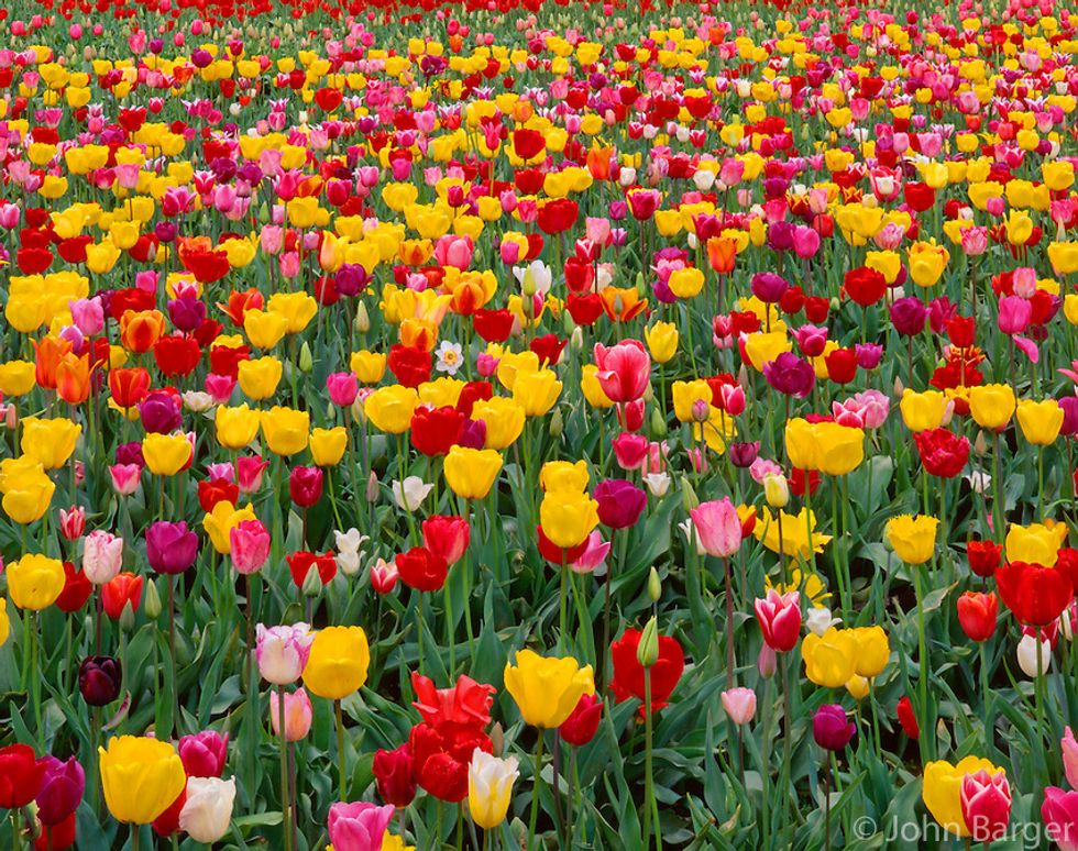 8 Things To Do In Northeast Ohio This Spring 8-things-to-do-in-northeast-ohio-this-spring
